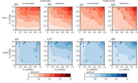 Figure 1 From Sex Linked Genetic Diversity Originates From Persistent