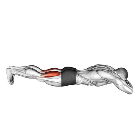 Pre Acl Surgery 5 Best Exercises With Pictures Inspire Us