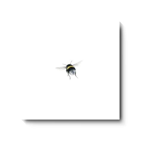 Wee Bee Cumbrian Artist David Pooley