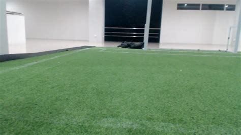 Gawang Full Object Detection Dataset And Pre Trained Model By Vision