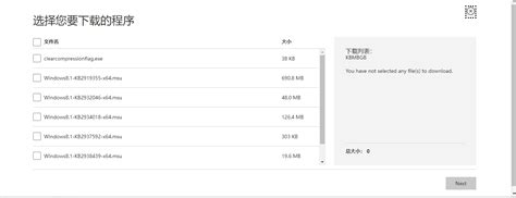 windows server R 安装补丁 追梦百合fly 博客园