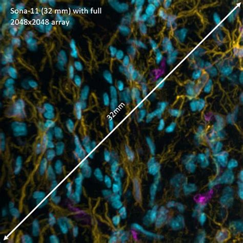 Fast And Sensitive SCMOS Cameras Andor Oxford Instruments