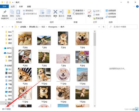 图像分类模板——有数据集即可实现图像分类任务 图像分类数据集制作 csdn博客