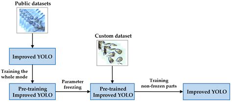 Applied Sciences Free Full Text Microorganism Detection In Activated Sludge Microscopic