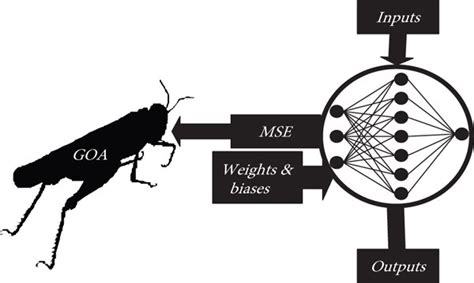 How To Train A Neural Network Using Goa Download Scientific Diagram
