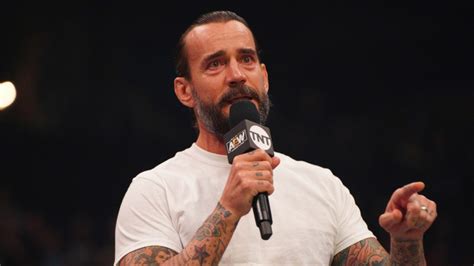 Ric Flair On Cm Punk Returning To Wwe Youd Have Guys Jumping Off