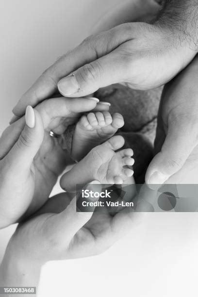 아버지의 손바닥 어머니는 흰색 배경에 신생아의 발을 잡고있다 부모의 손바닥에 신생아의 발 아이의 발가락 발 뒤꿈치와 발의 사진 3 명에 대한 스톡 사진 및 기타 이미지