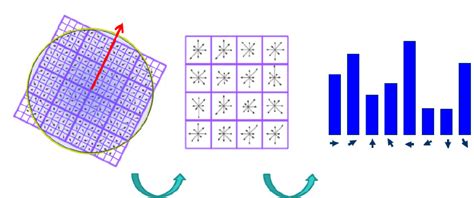 A Keypoint Descriptor Download Scientific Diagram