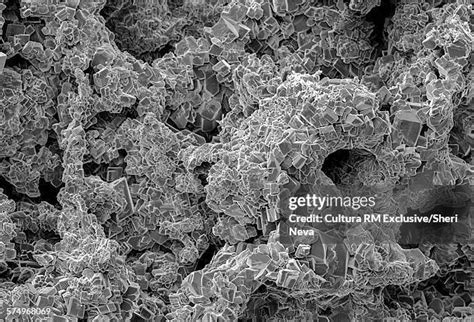 Microstructure Microscope Photos And Premium High Res Pictures Getty Images