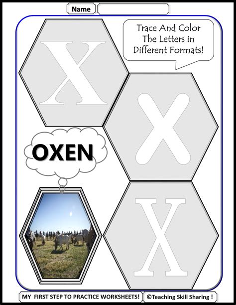 HAVE FUN WRITING Tracing And Coloring Uppercase And Lowercase Letters Made By Teachers