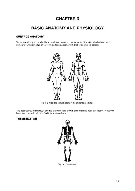 Chapter 3 Basic Anatomy And Physiology Chapter 3 Basic Anatomy And