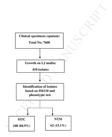 A Flow Chart Of Samples Collection And Isolation Download Scientific Diagram