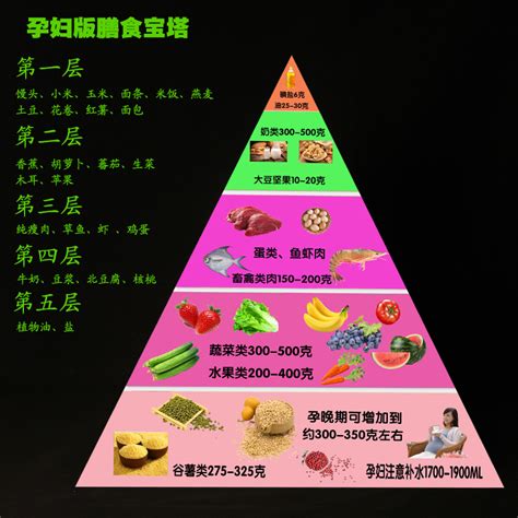 老人膳食宝塔图 20年膳食宝塔图片 科学膳食宝塔图 大山谷图库