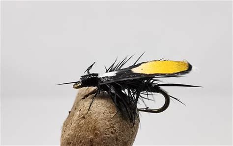 Jassid Fly Fishing Flies With Fish4flies Worldwide