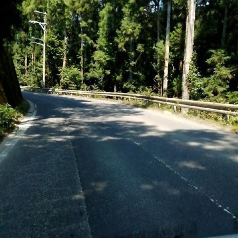 PD Object Detection Model By Amacclipa