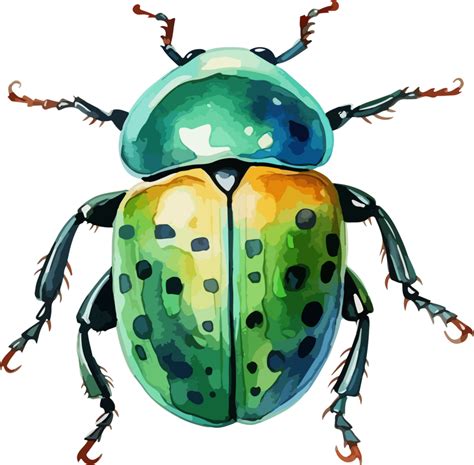 Beetle Clipart Design Illustration 46338861 Png