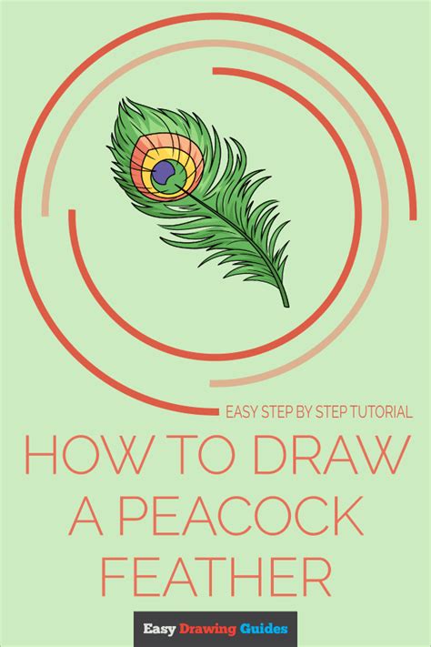 How To Draw A Peacock Feather Really Easy Drawing Tutorial