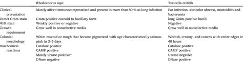 Clinical And Microbiological Characteristics Of Rhodococcus Equi And Download Scientific
