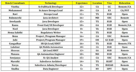 Powerbi Etldeveloper Projectmanager Scrummaster Programmanager