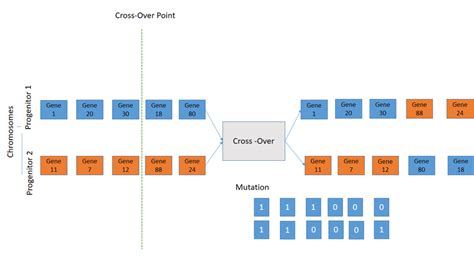 Schematic Representation Of The Crossover The Selection Criteria Is Download Scientific