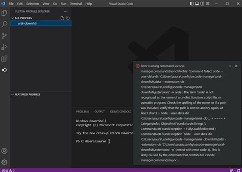 Vscode Portable Mode · Issue 70 · Mrsauravsahuvscode Manager · Github