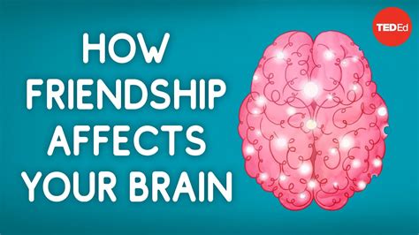 How Friendship Affects Your Brain Shannon Odell Youtube