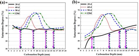 1d Distributions Of Saturation Degree For A Mass Balanced And B Download Scientific Diagram