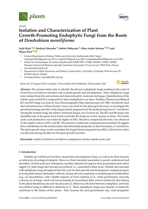 Pdf Isolation And Characterization Of Plant Growth Promoting Endophytic Fungi From The Roots