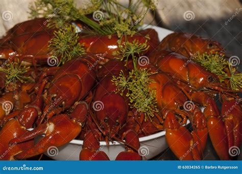 Crayfish Stock Image Image Of Taste Tasty Delicioud 63034265