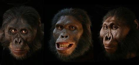 Evolution Vs Creationism Whats The Debate About