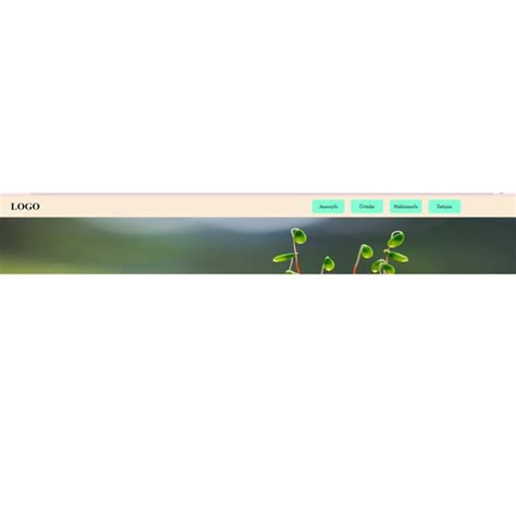 Preparing Professional Navbar For Websites By Mehmetali Buber Fiverr