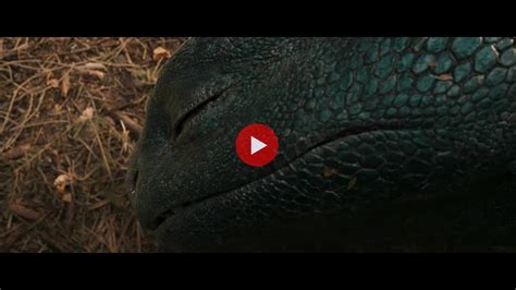 실사 영화 슈퍼볼 30초 스팟 영화 Tv 에펨코리아