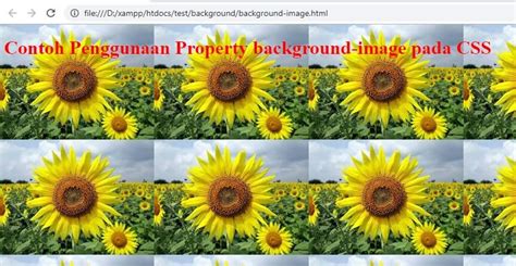 Cara Merubah Warna Background Dengan Css Serba Komputer