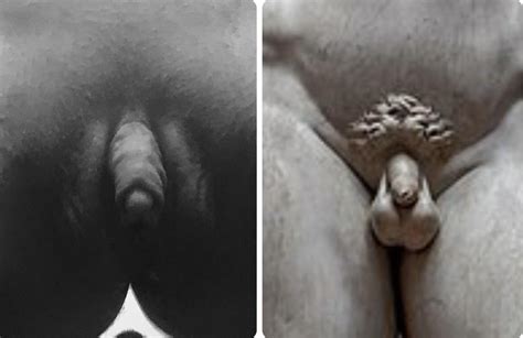 A Fun Side By Side Comparison R FtMPorn