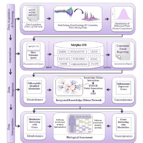 The Bioinformatics Workflow Outlining Major Steps For Constructing The Download Scientific