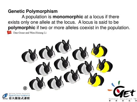 Chapter 3 Dynamics Of Genes In Populations Ppt Download Chapter 3 Dynamics Of Genes In Populations Ppt Download