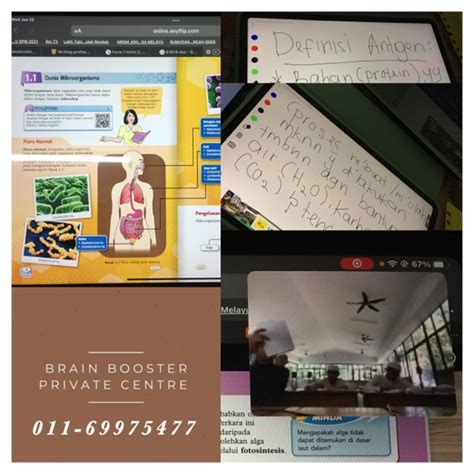 Online Grouping Class School Brain Booster Private Tuition Centre Online Grouping Class School Brain Booster Private Tuition Centre