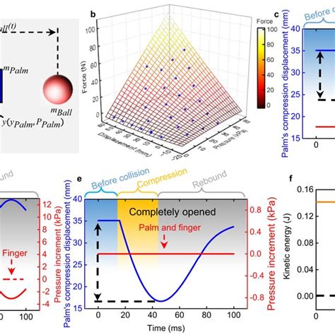 Simulation Set Up And Results For The Multi Physics Model Coupling Download Scientific Diagram