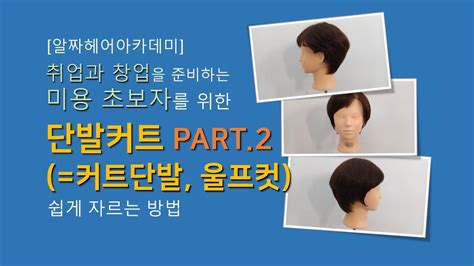 미용초보자도 쉽게 자를 수 있는 단발커트 Part2 커트단발 울프컷 Youtube