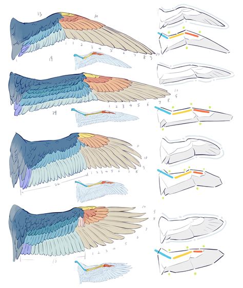 Pin By Qw On Art2 Bird Wings Wings Drawing Wings