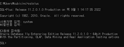[oracle] database 설치 확인 sqlplus