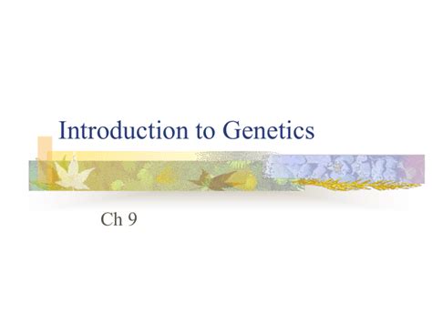 Introduction To Genetics