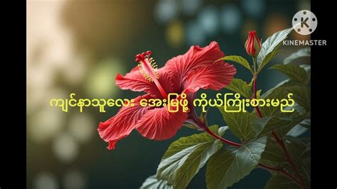 ထူးအိမ်သင် တစ်နေ့နေ့တော့ချစ်လာလိမ့်မည် Youtube