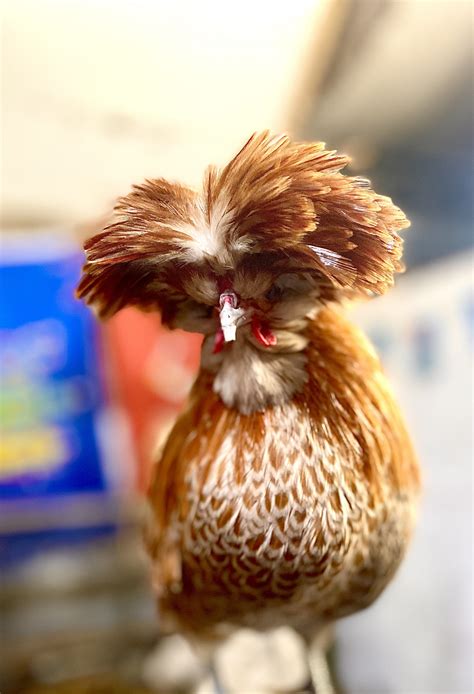 Devizes School Schools Art Bytes