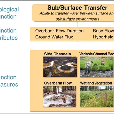 12 Vegetated Riparian Corridor Width Standard Performance Index Download Scientific Diagram