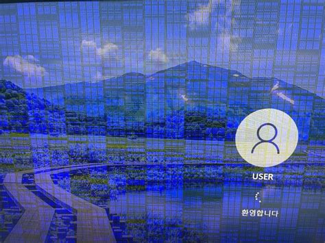 컴퓨터 모니터가 이상해요ㅠㅠ 지식in