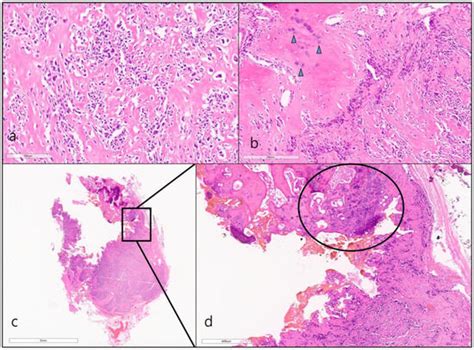 Diagnostics Special Issue Whats New In Diagnostic Radiological