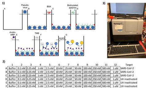 Binding Affinity Measurements Between Dna Aptamers And Their Virus