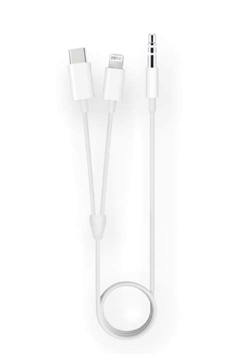Type C And Lightning To 3 5mm Aux Audio Cable Shop Today Get It Tomorrow