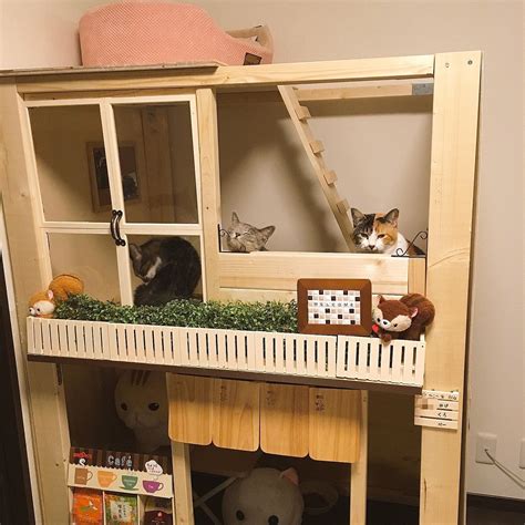 部屋全体 キャットタワー キャットハウス 猫のいる日常 猫の家 などのインテリア実例 2017 02 06 08 35 58